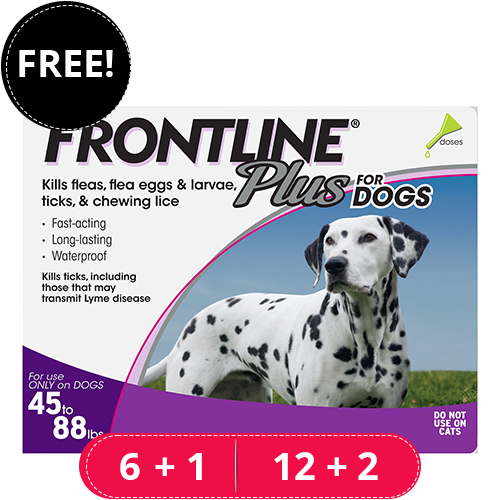 Buy Frontline Plus For Large Dogs 45-88 Lbs (Purple) - Free Shipping