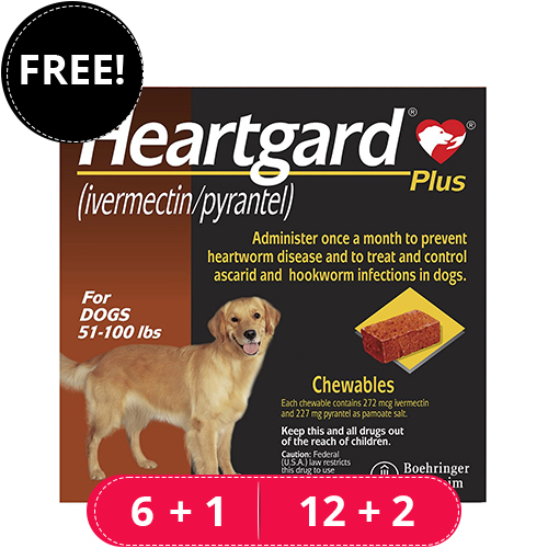 Buy Heartgard Plus Chewables For Large Dog 51-100lbs (Brown) - Free ...